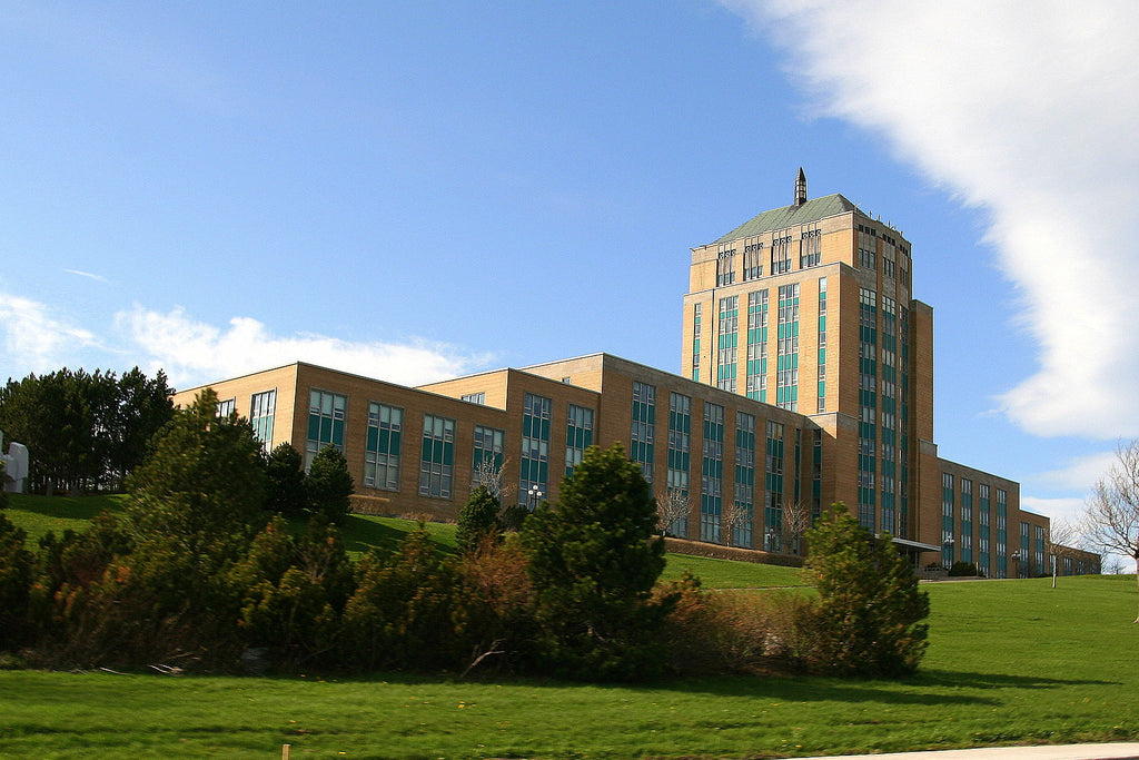 [Canada] Government of Newfoundland and Labrador's workplace rights ca ...