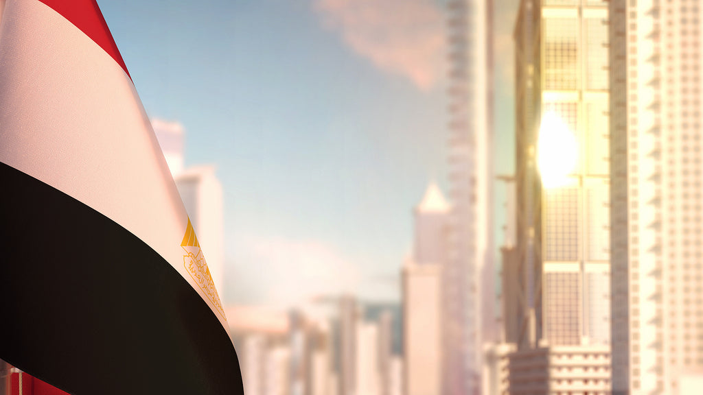 [Egypt] Al-Azhar Grand Sheikh appoints female advisor in historical fi ...